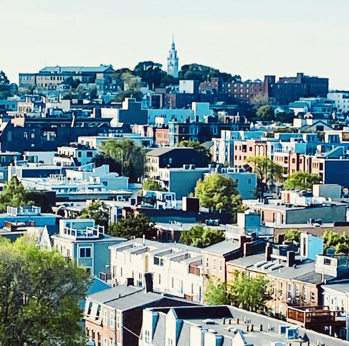 About Us - Caught In Southie