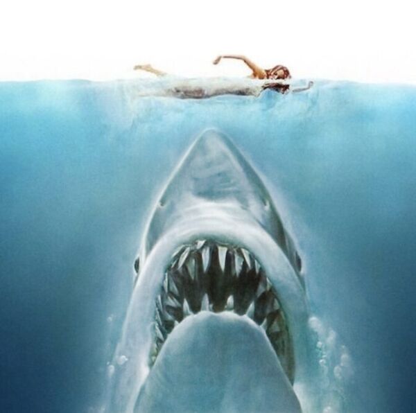 See Jaws on the Big Screen at the New England Aquarium - Caught In Southie