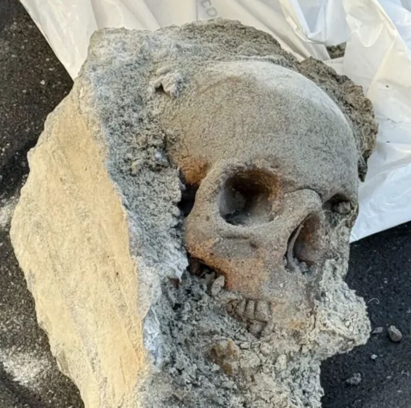 Skull found at Black Falcon Terminal in South Boston was a Fake ...